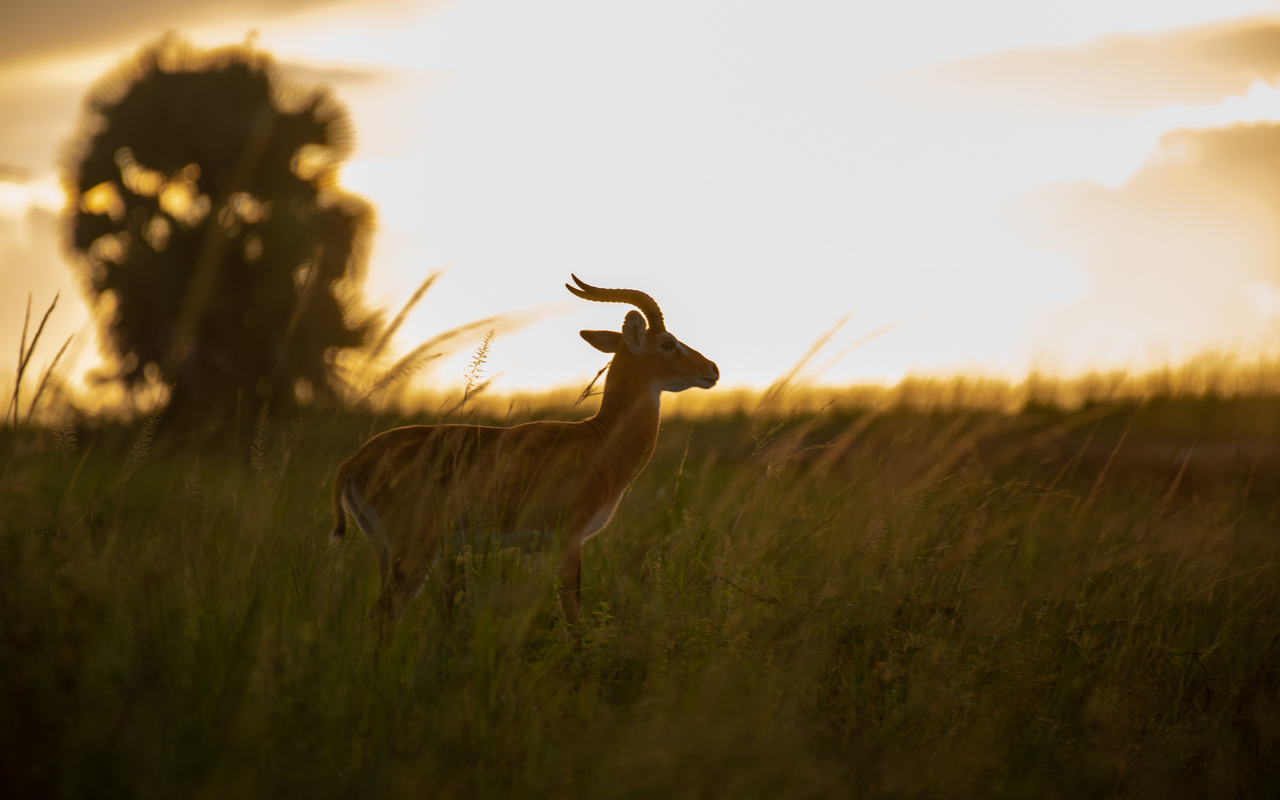 Responsible Tourism – Renai Safaris Safari with a Purpose